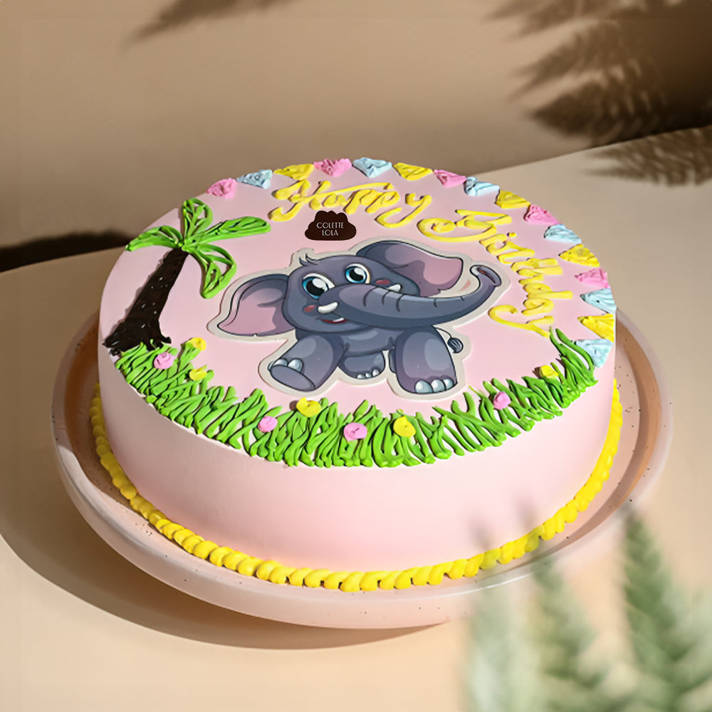 Edible Photo Cake – Colette Lola